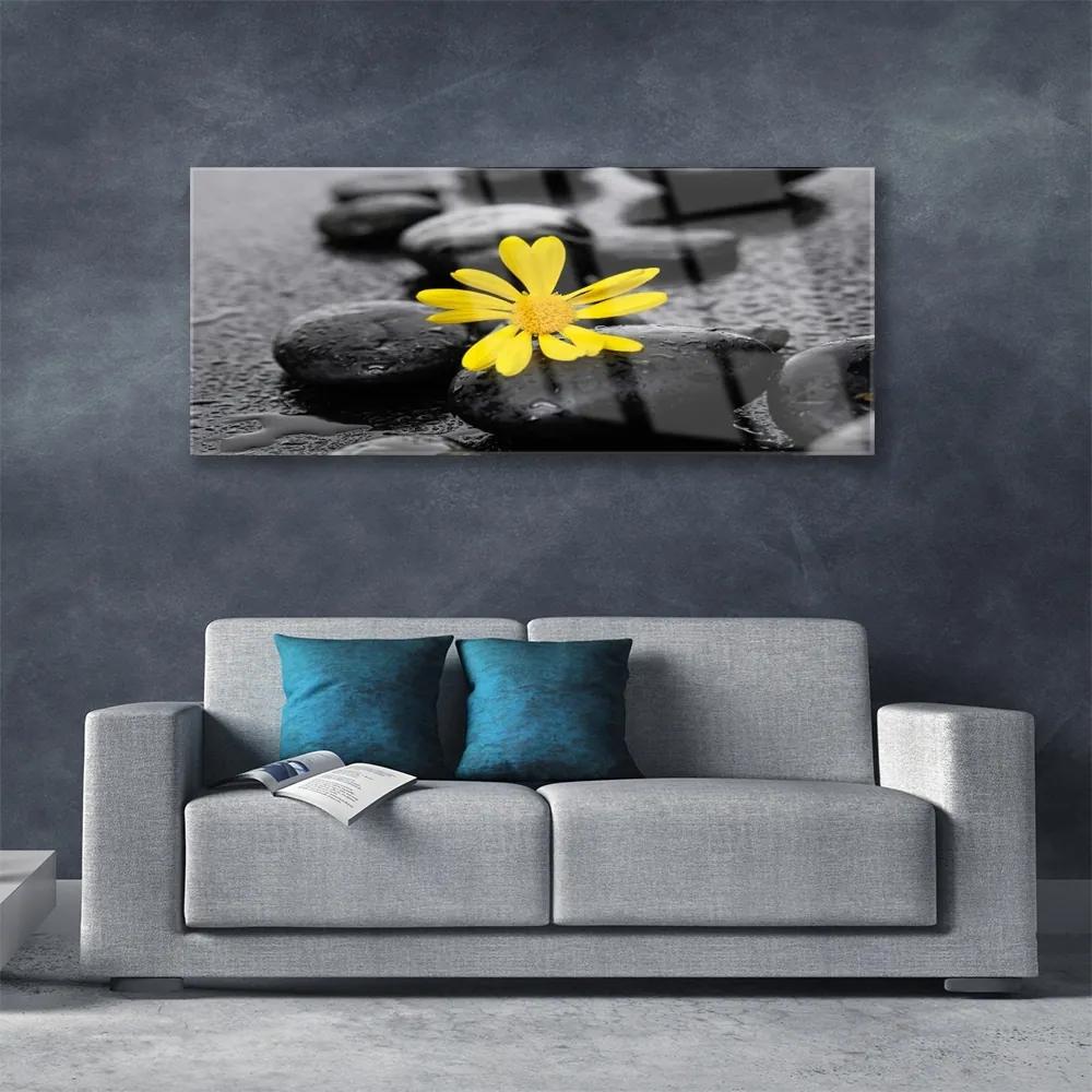 Plexisklo-obraz Květ Kameny Rostlina Lázně 125x50 cm