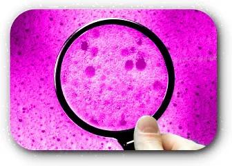 Antibakteriální matrace LATEX 24 cm 120 x 200 cm Ochrana matrace: VČETNĚ chrániče matrace