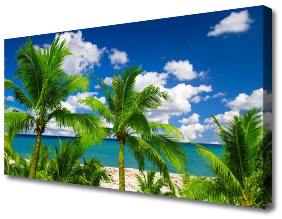 Obraz na plátně Moře Palma Stromy Krajina 100x50 cm