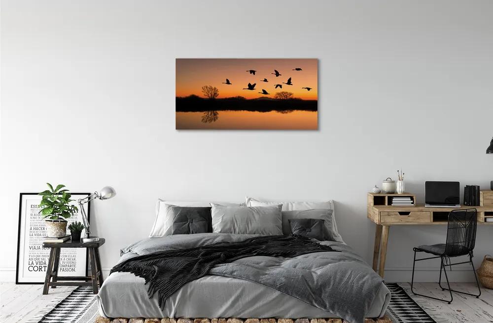 Obrazy na plátně Létající ptáky sunset 120x60 cm