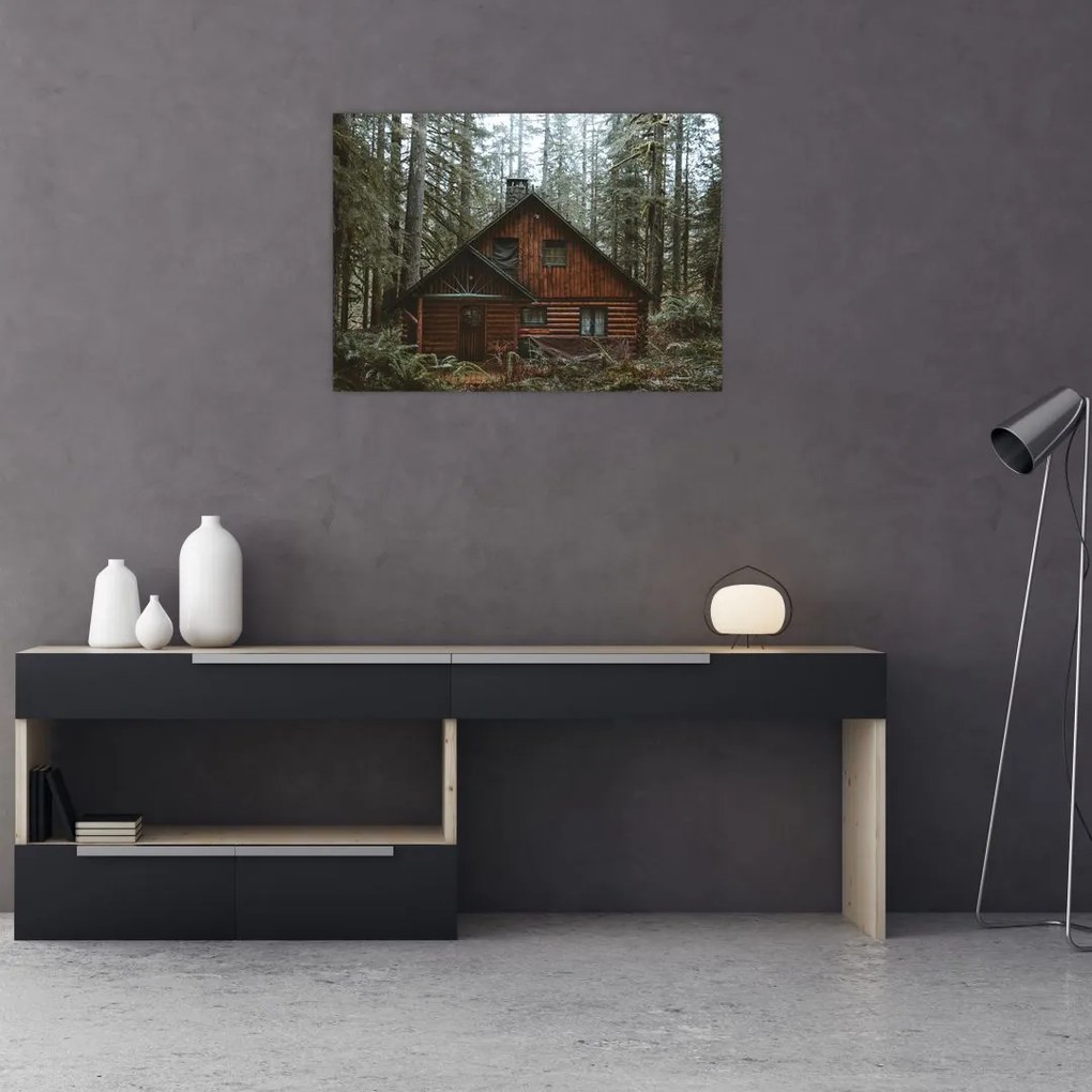 Skleněný obraz - Horská chata (70x50 cm)
