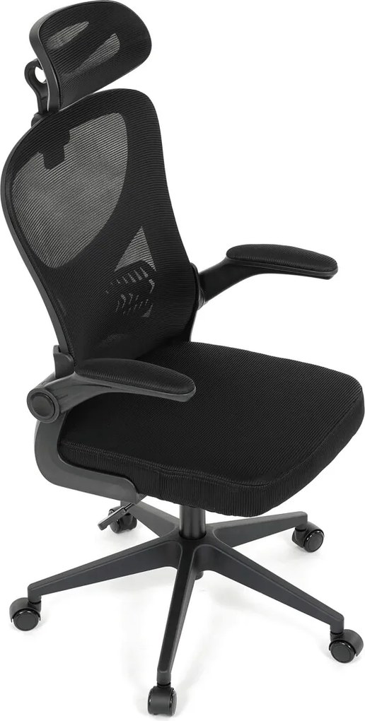 Ergonomická kancelářská židle ALEXANDRE - černá síťovina