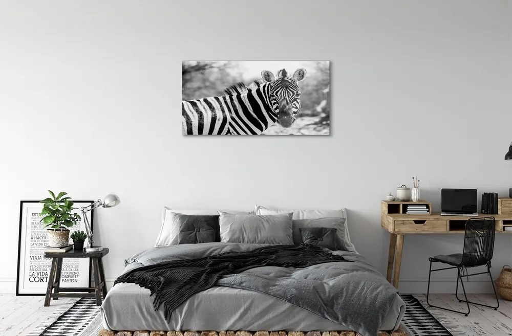 Obraz na skle retro zebra 125x50 cm