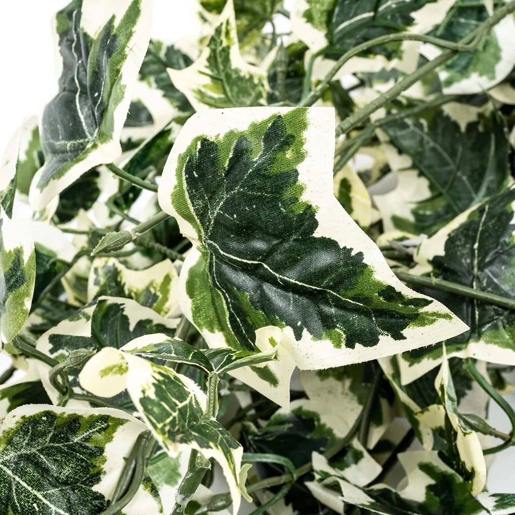 Umělá girlanda Holland Ivy, 180 cm, sada 6 ks