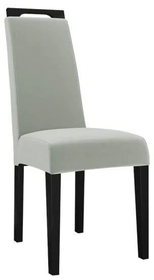 Jídelní židle JK79, Barva dřeva: černá, Potah: Magic Velvet 2217