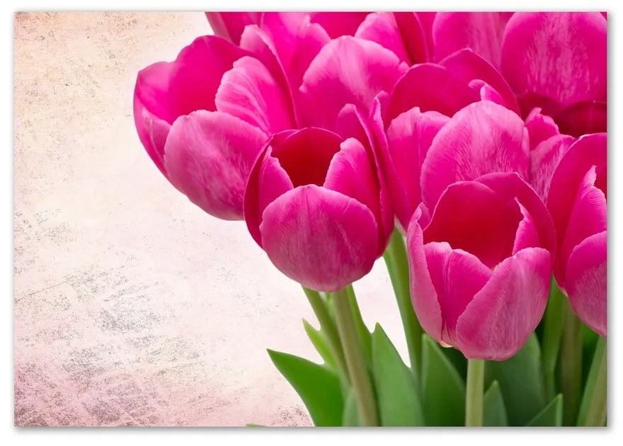 Wallmuralia Foto-obraz fotografie na skle Růžové tulipány 100x70 cm