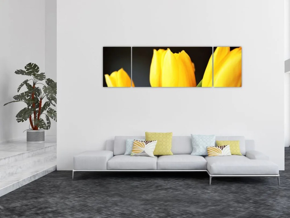 Obraz tulipánů (170x50 cm)