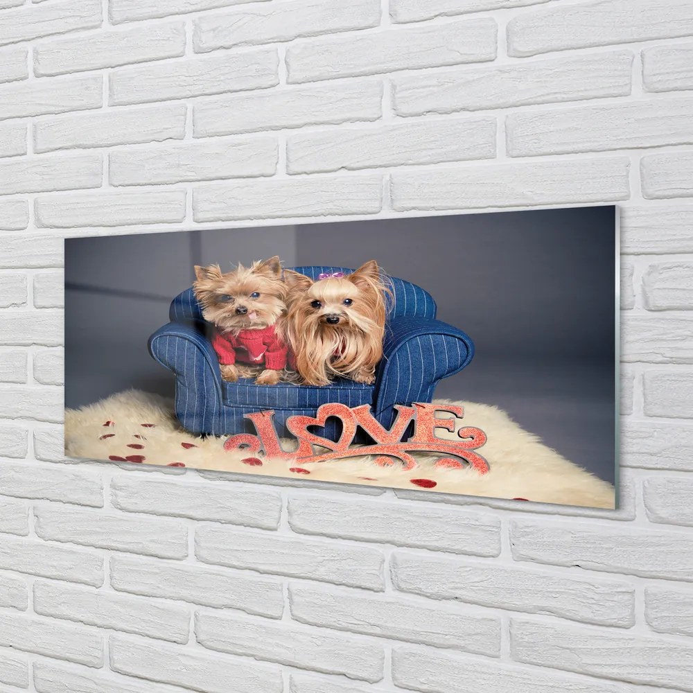 akrylový obraz yorkie 120x60 cm