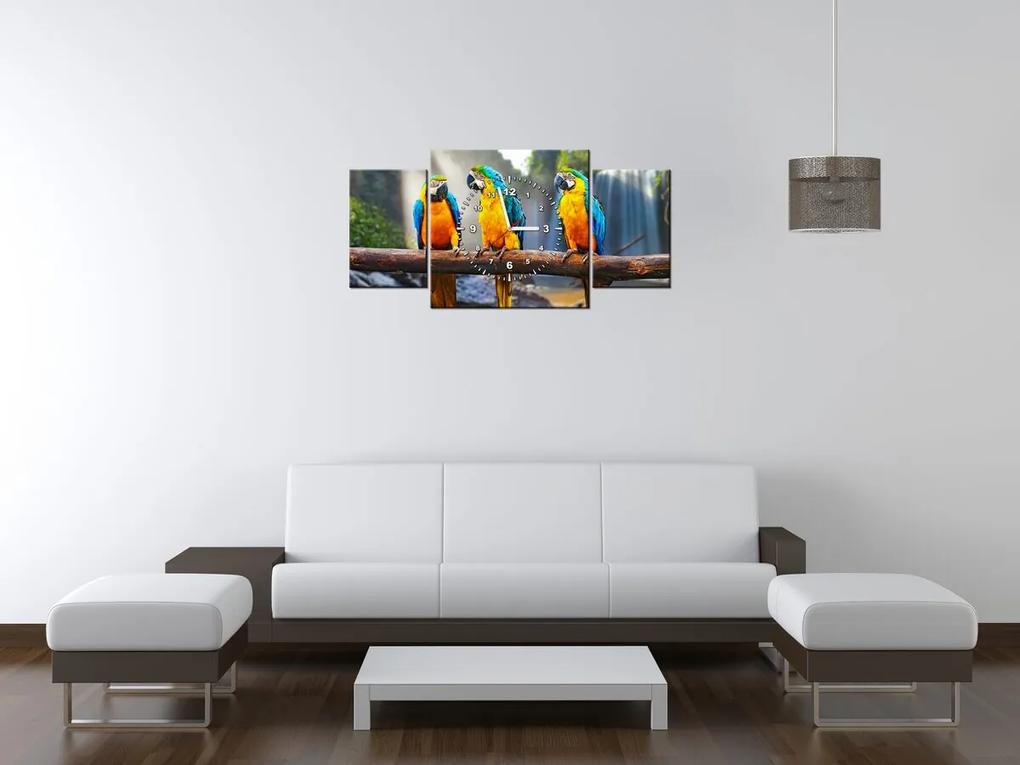 Gario Obraz s hodinami Barevní papoušci - 3 dílný Rozměry: 90 x 30 cm