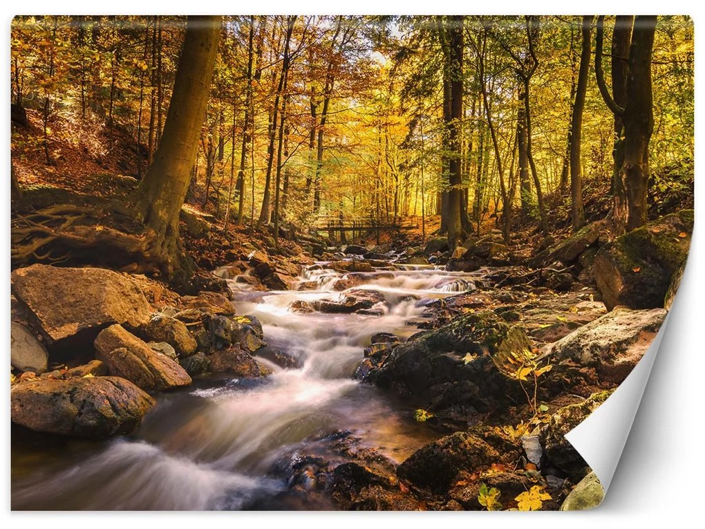 Gario Fototapeta Lesní potok na podzim Materiál: Vliesová, Rozměry: 200 x 140 cm