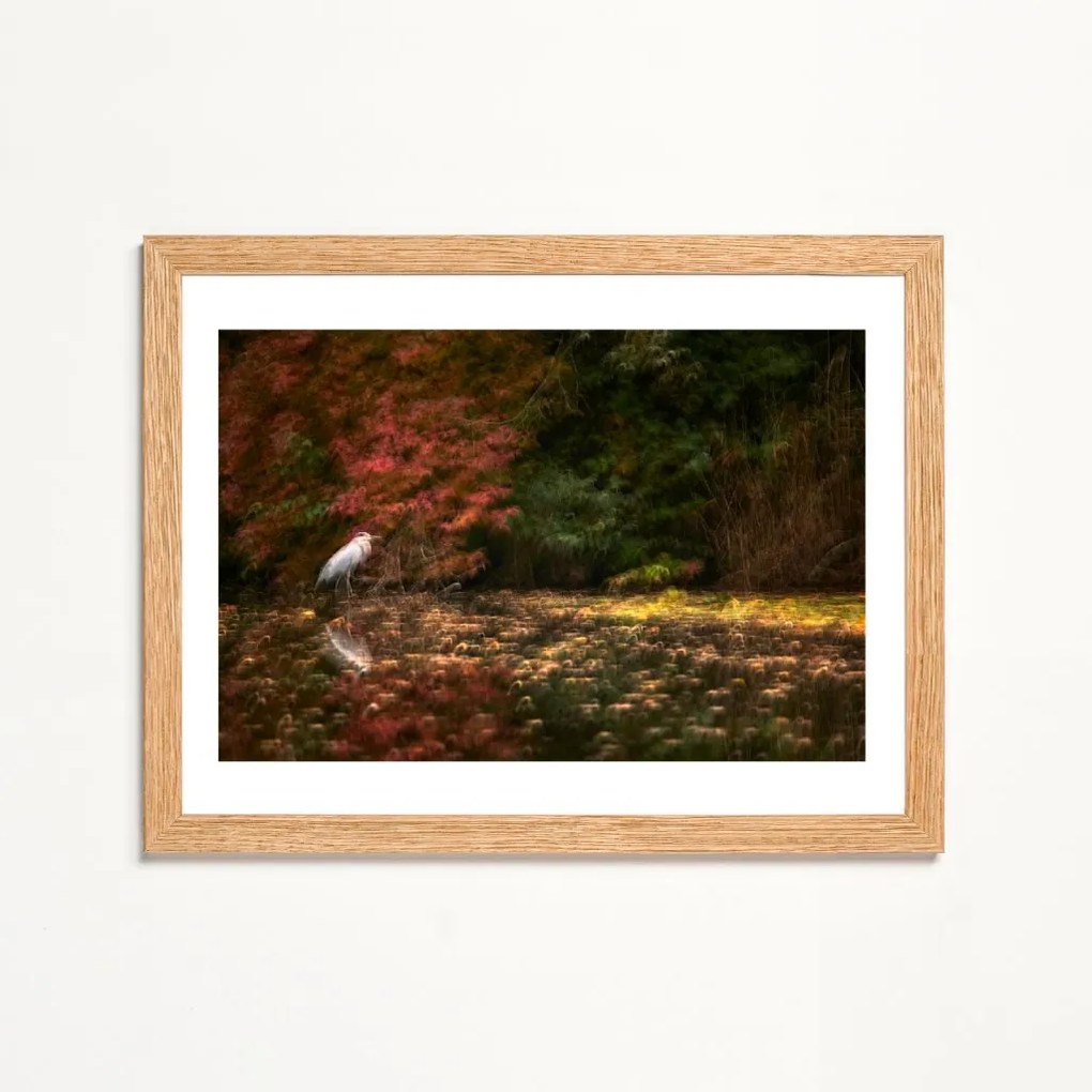 Jiří Hřebíček | Silent Autumn Admirer Rám: Bílý, Velikost: 20 x 30 cm