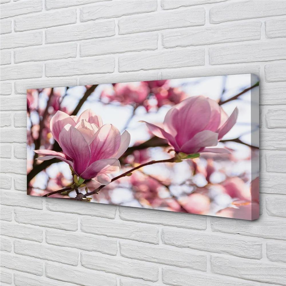 Obrazy na plátně magnolie strom 140x70 cm