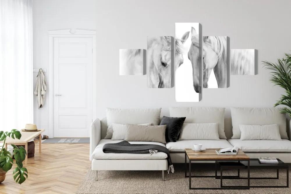 Vícedílný obraz Dva Koně Na Bílém Pozadí Nedostatek Nedostatek Přírodní plátno 150x90