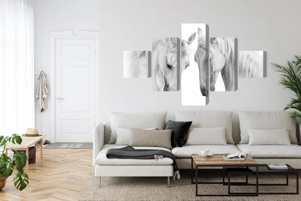 Vícedílný obraz Dva Koně Na Bílém Pozadí Nedostatek Nedostatek Přírodní plátno 250x150