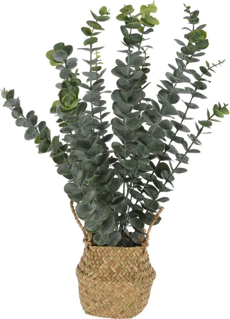 Umělá rostlina eukalyptu v košíku, 50 cm
