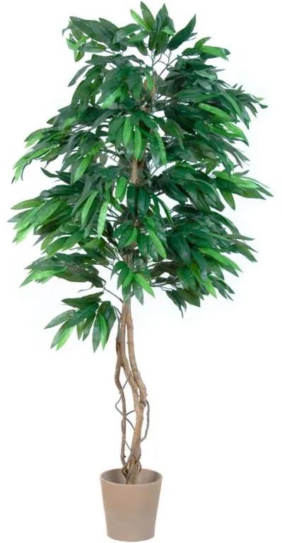 PLANTASIA 1429 Umělá rostlina strom, mango, 180 cm