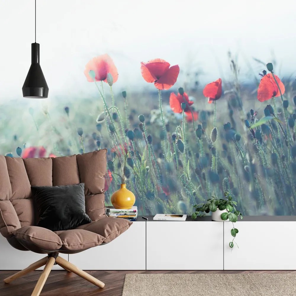 Fototapeta Poppy Field Strukturální vinyl 405x270