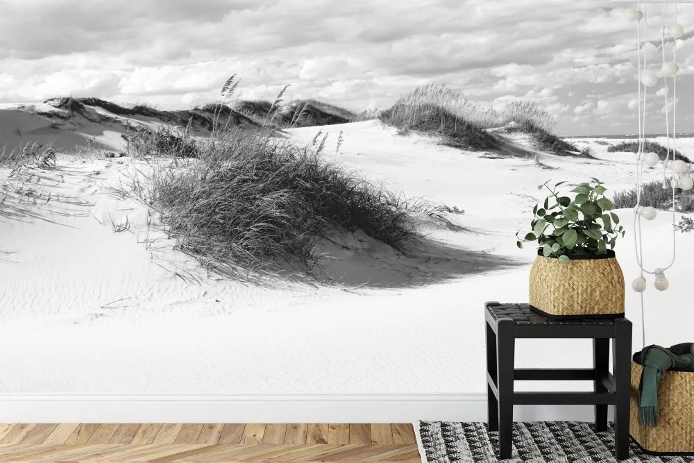 Fototapeta Odpoledne V Dunes Black &amp;amp; White Hladký vinyl 180x120