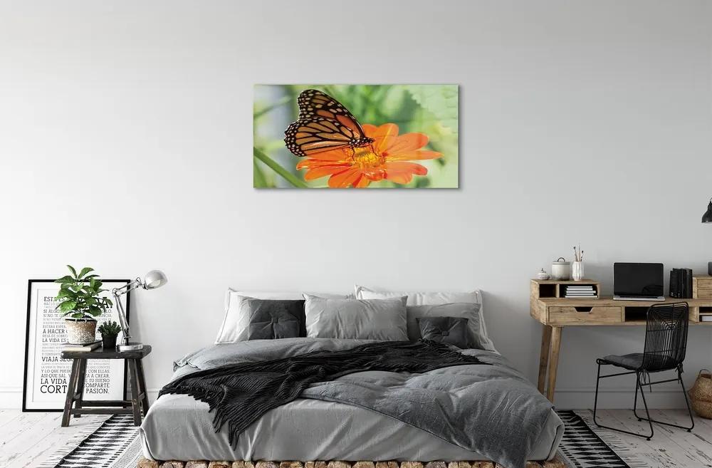 Obraz na skle Květ barevný motýl 100x50 cm