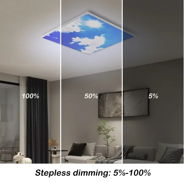BRILAGI-LED Stm svítidlo SLIMFRAME SKY LED/58W/230V 60x60 cm stříbr/modrá+DO