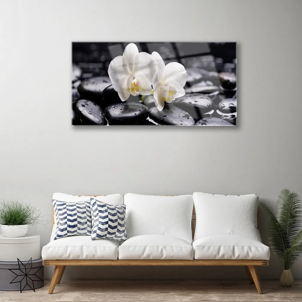 Plexisklo-obraz Kameny Zen Bílá Orchidej 100x50 cm