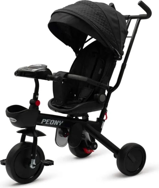 Dětská tříkolka Baby Mix Peony EVA černá