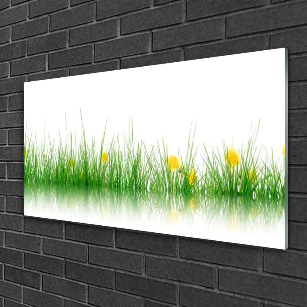 Obraz na skle Příroda Tráva Květiny 100x50 cm