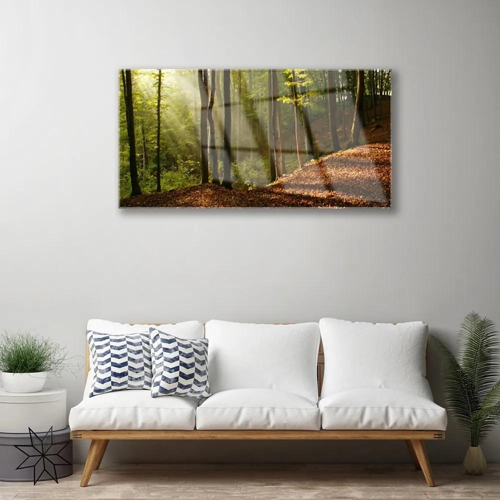 Obraz na skle Les Stromy Příroda 100x50 cm