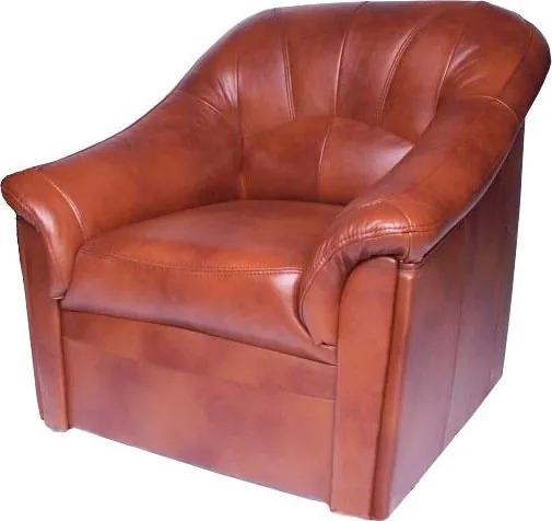 Casarredo - Komfort nábytek Křeslo JOLANA kůže | potah: Kůže S-42