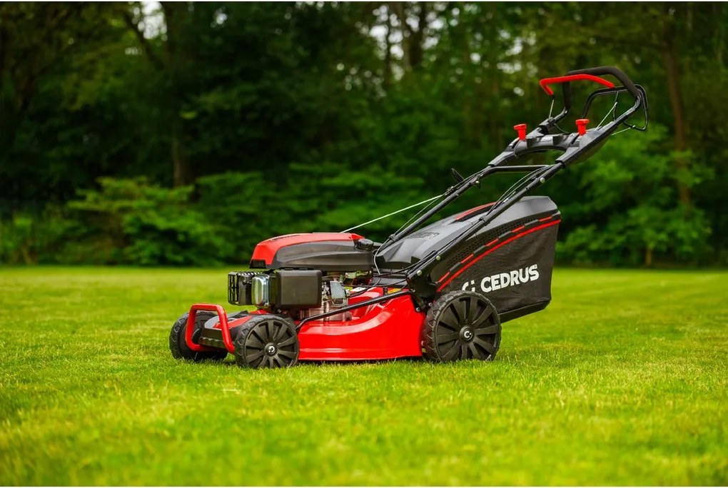 Hahn & Sohn Cedrus Sekačka benzínová KS53S s pojezdem HP16108