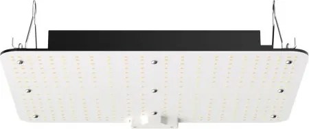 LED pěstební světlo, 150 W plnospektrální stmívatelné