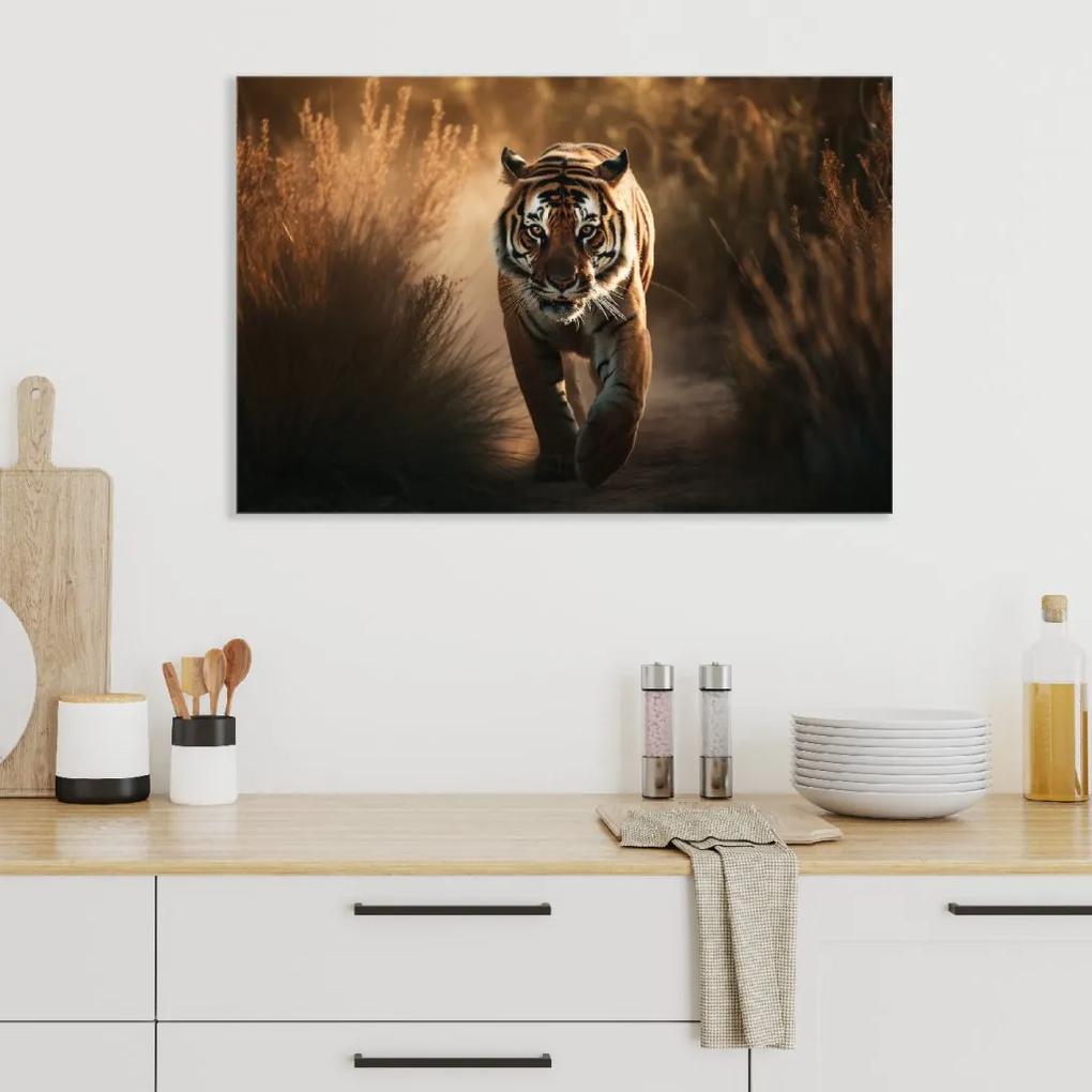 Obraz na plátně - Tygr běžící savanou FeelHappy.cz Velikost obrazu: 120 x 80 cm