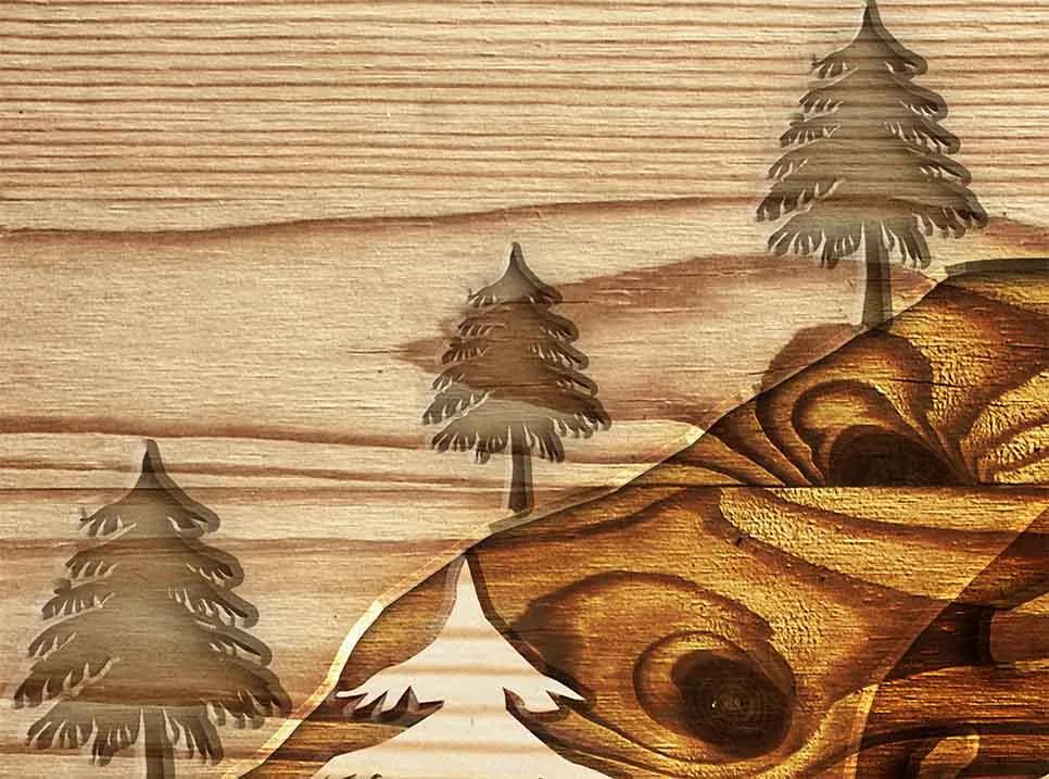 Obraz krajina ze dřeva Velikost (šířka x výška): 40x30 cm