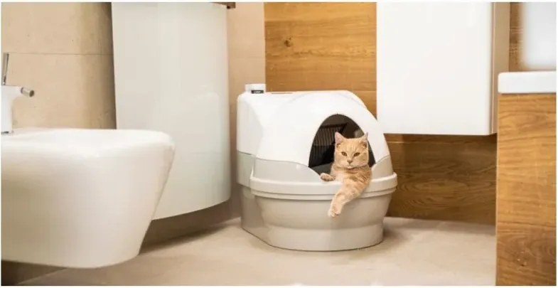 CatGenie 120+ robotické samočisticí WC pro kočky s poklopem 48 x 58 x 53 cm
