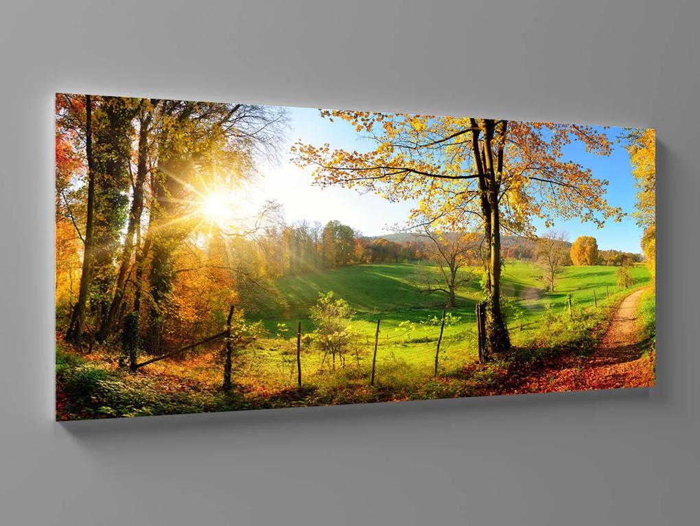 Liox Obraz pešina z lesa Rozměr: 120 x 55 cm