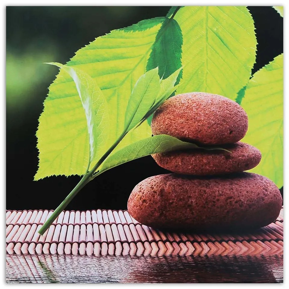 Gario Obraz na plátně Listy a kameny Rozměry: 30 x 30 cm