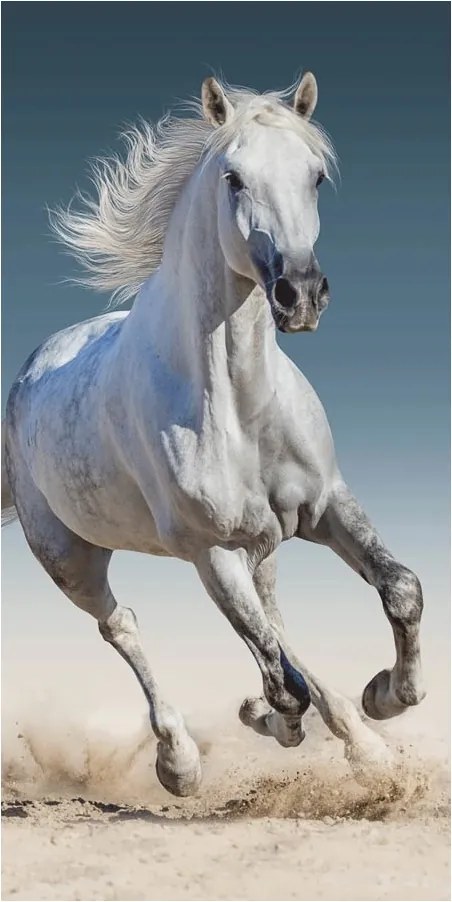 osuška jerry fabrics fototisk - bílý kůň 70x140