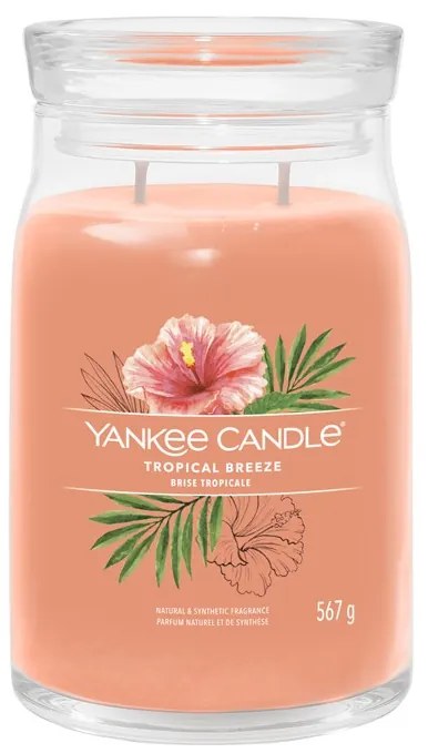 Yankee Candle Signature svíčka velká Tropical Breeze, 567g