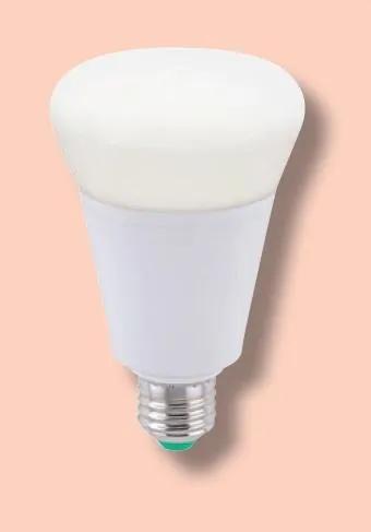 LD 08222-1 LED žárovka LOLA Bulb E27 14W 2700-5000K + RGB 1100lm vč.dálkového ovládání - LEUCHTEN DIREKT