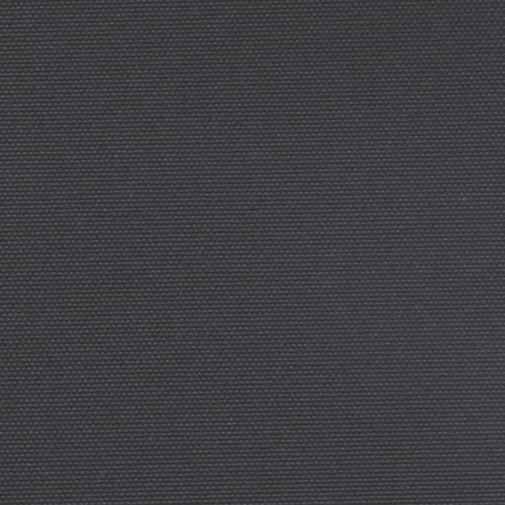 Zatahovací boční markýza černá 160 x 1 000 cm