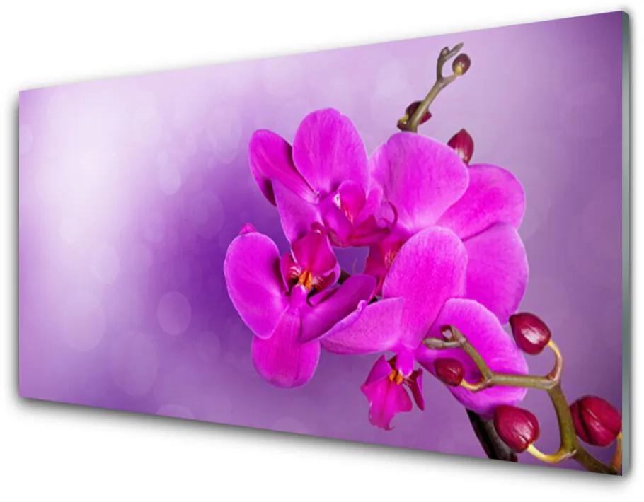 Obraz na skle Květiny Plátky Orchidej 125x50 cm