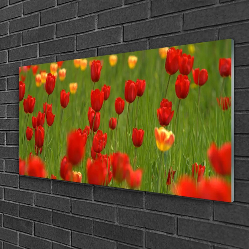 Obraz na skle Tulipány Rostlina 140x70 cm