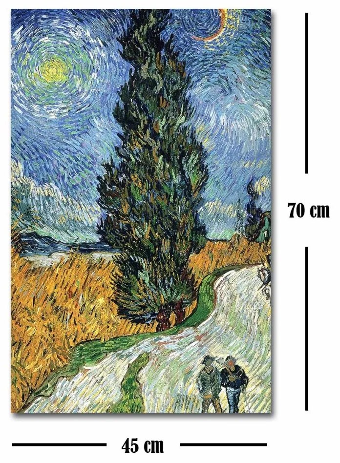 Reprodukce obrazu Vincent van Gogh 101 45 x 70 cm