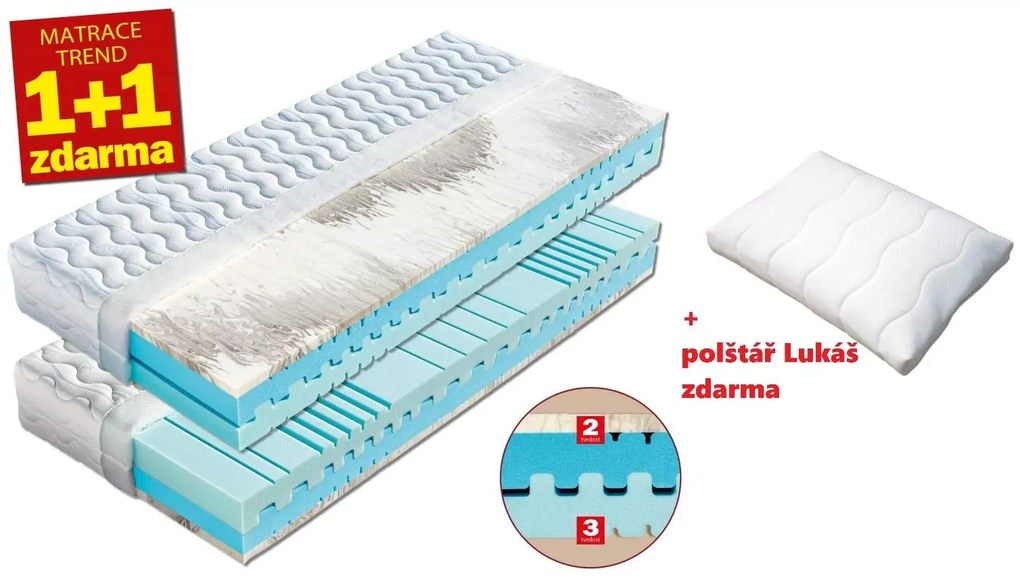 Dřevočal Matrace ze studené pěny Pantera 200x90, AloeVera