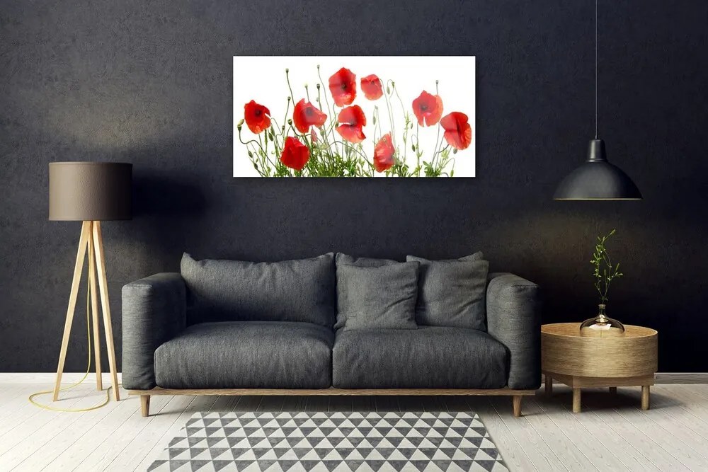 Obraz na skle Máky Květiny Příroda 125x50 cm