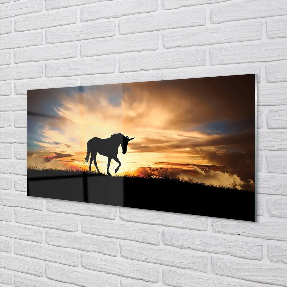 Obraz na skle Unicorn sunset 100x50 cm