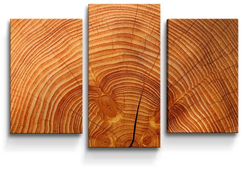 Sablio Obraz - 3-dílný Dřevo 2 - 75x50 cm