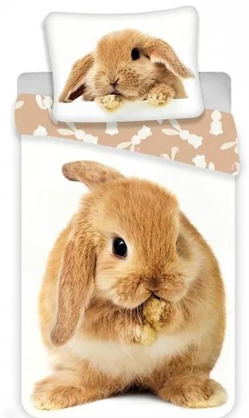 Jerry Fabrics povlečení bavlna fototisk Bunny brown 140x200 70x90 cm
