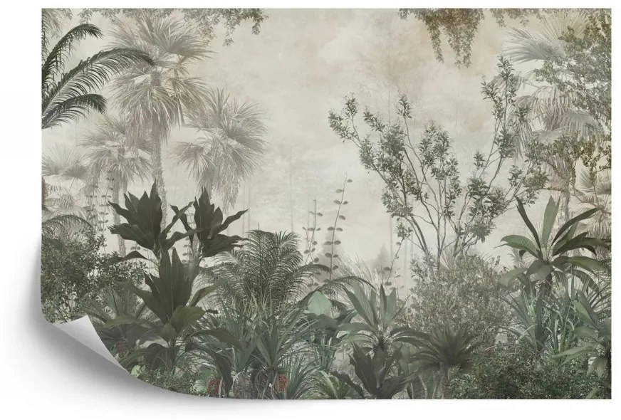 Fototapeta Tropical Trees And Leaves Wallpaper Design In Foggy Forest - 3D Strukturální vinyl 300x210