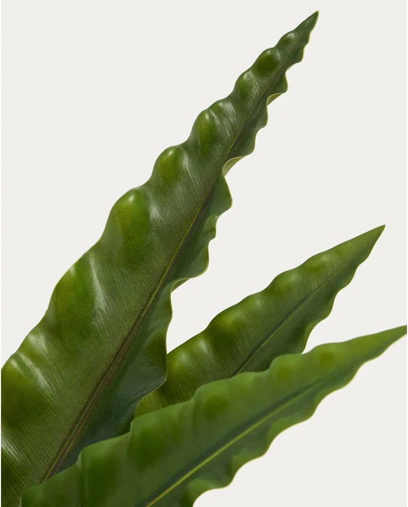 Umělý sukulent (výška 70 cm) Neottopteris – Kave Home